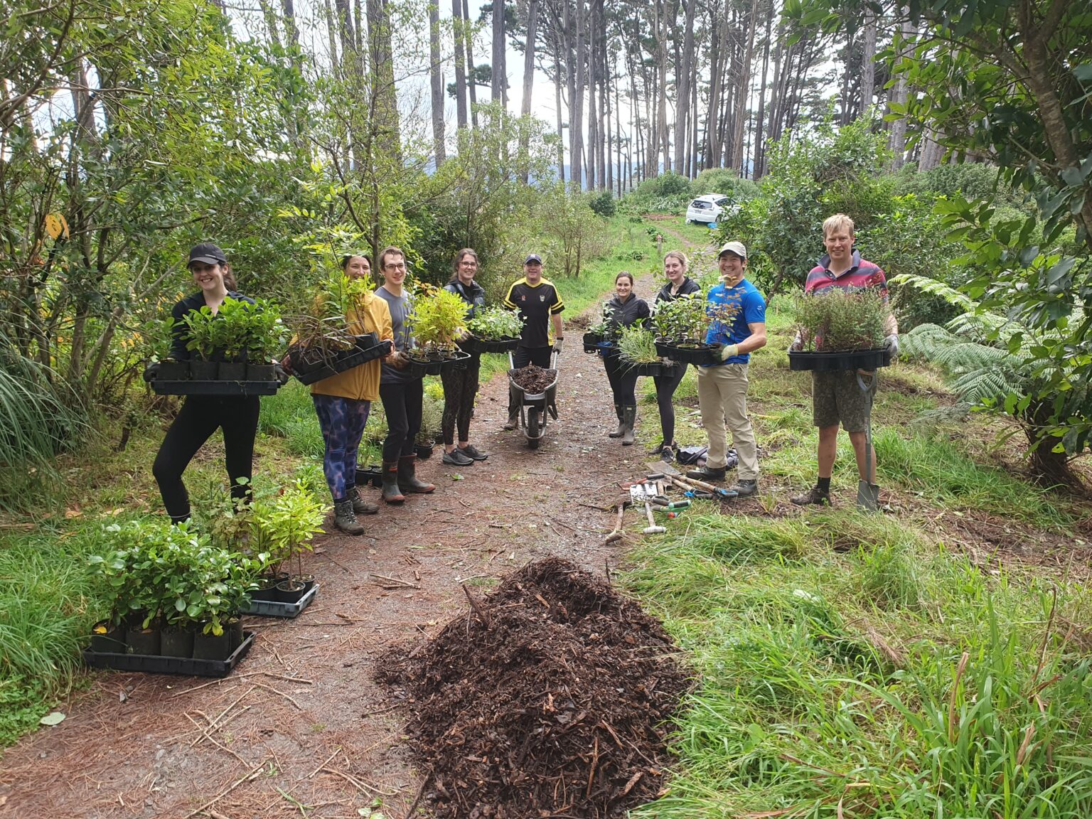 Our sustainability story - Simply Energy NZ
