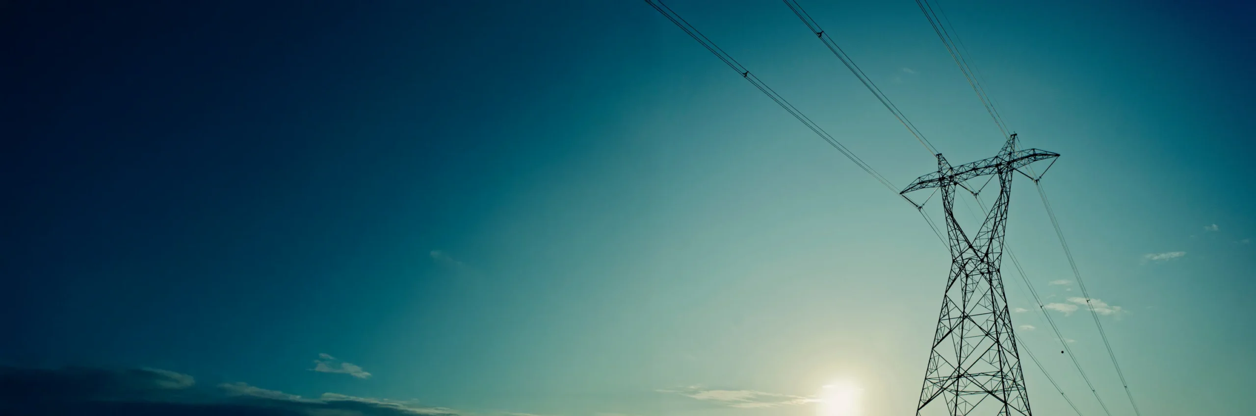 Simply Flex - Simply Energy NZ